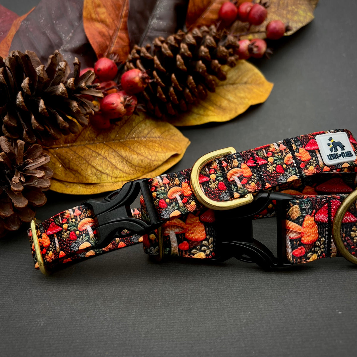 Fall Fungi Dog Collar Autumn Equinox Collection 2023 Lewis Clark Collar Co